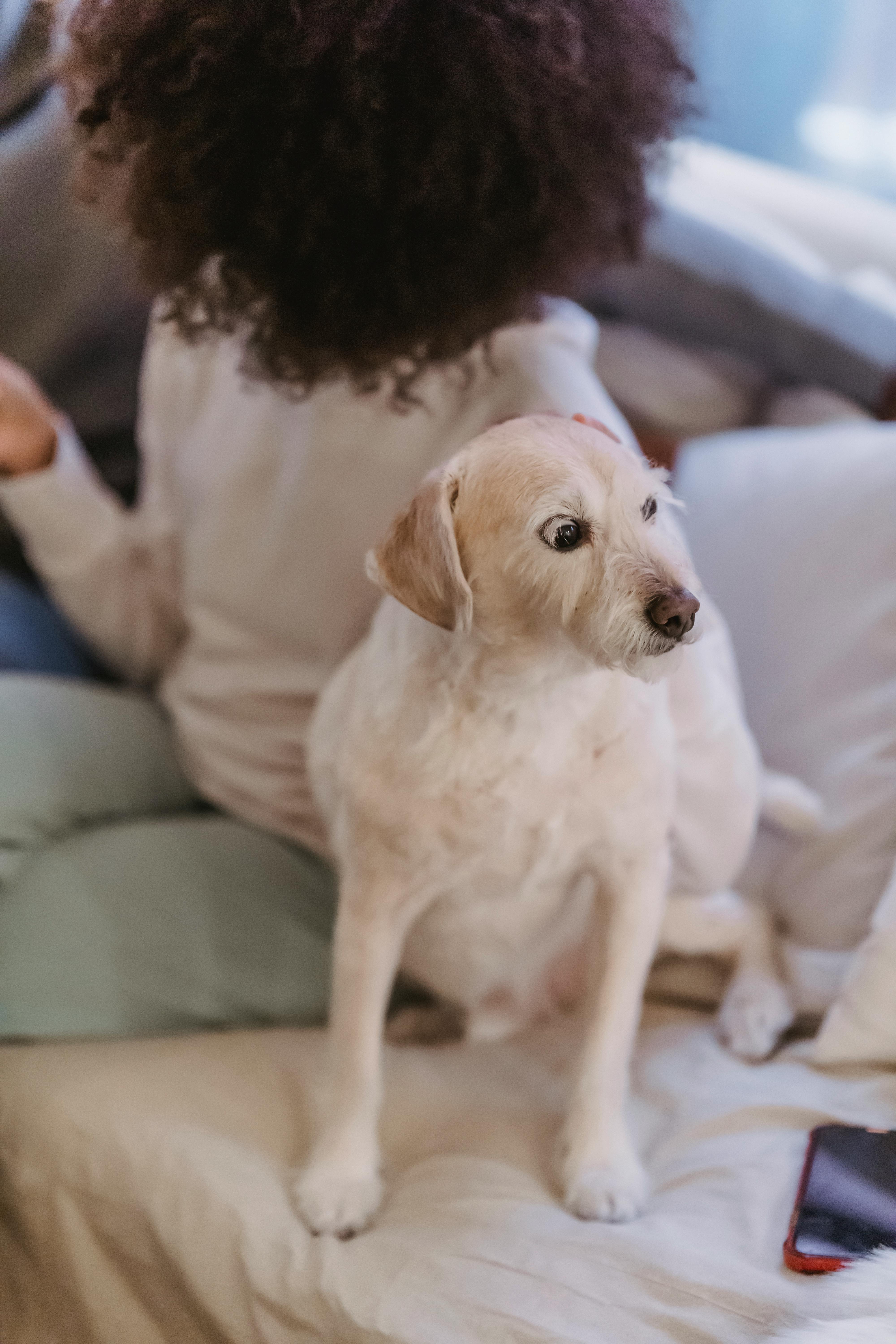 Pet Mom Life – Daily Joy Shop
