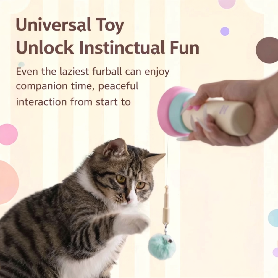 Daily Joy Shop